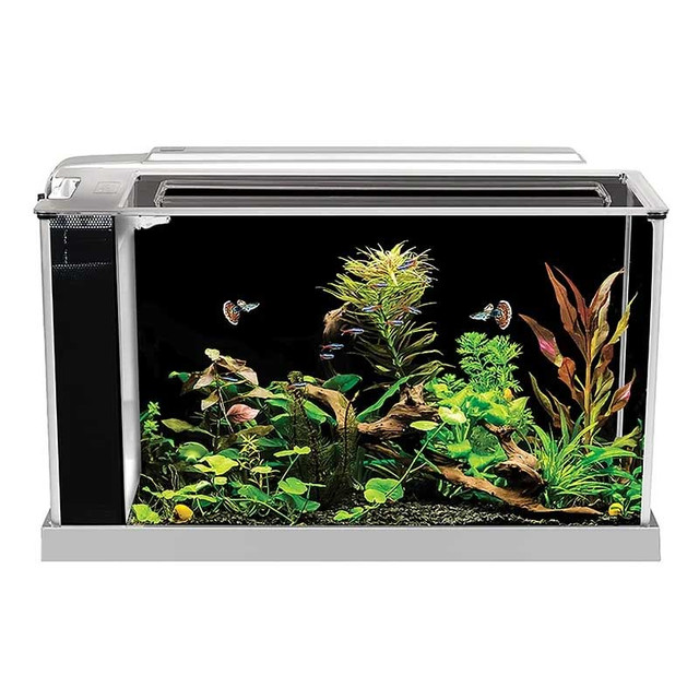 Spec V 5 Gallon Freshwater Aquarium Kit (20.5" x 11.6" x 7.5") White ...