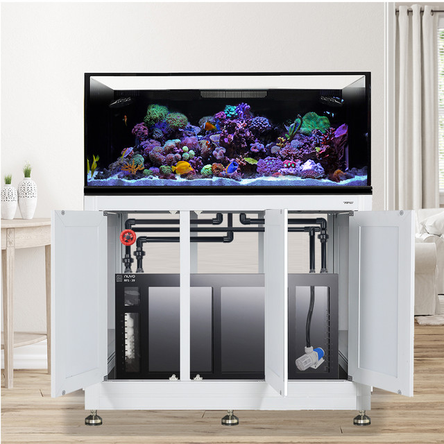 EXT 100 Gallon Complete Reef System – White - Innovative Marine ...