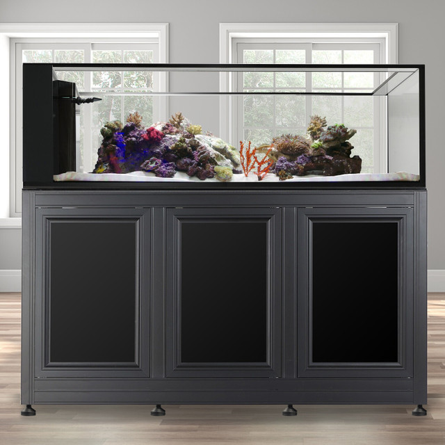 INT 200 Gallon Peninsula Complete Reef System – Black (Made to Order ...