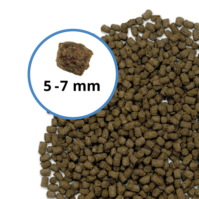 Bug Bites Cichlid Pellets (3.52 oz / 100 g) - Fluval ...