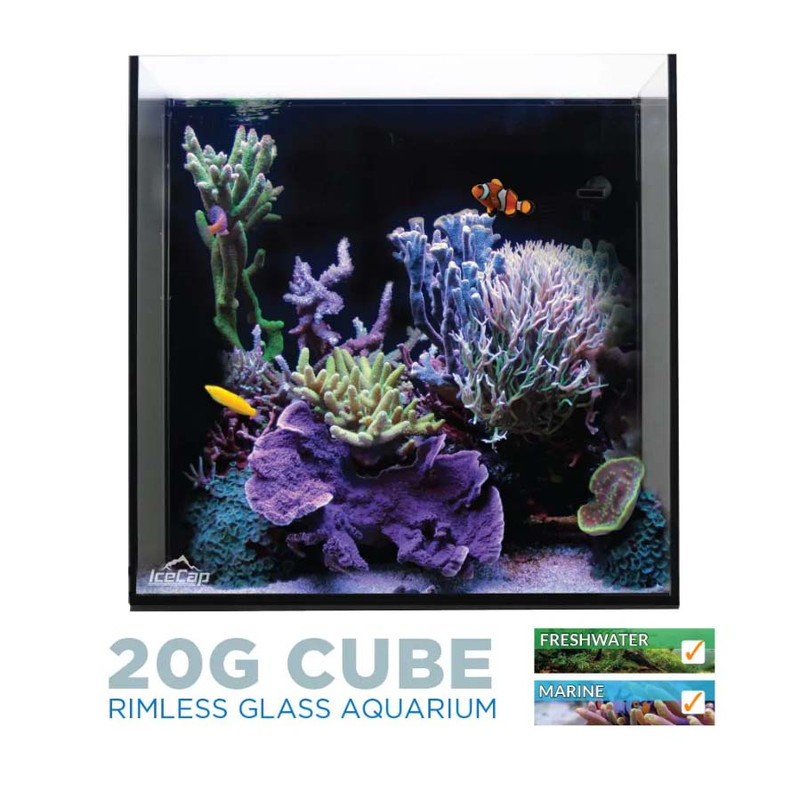 20 Gallon Cube AIO Rimless Glass Aquarium - IceCap - SaltwaterAquarium.com