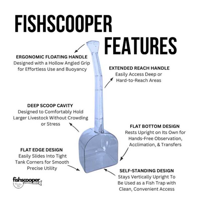 FishScooper - Net Free, Stress Free, Water-Retaining Scoop ...