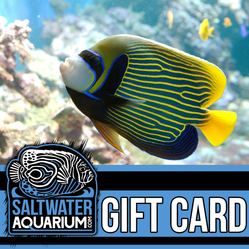 $100.00 Gift Card - SaltwaterAquarium - SaltwaterAquarium.com