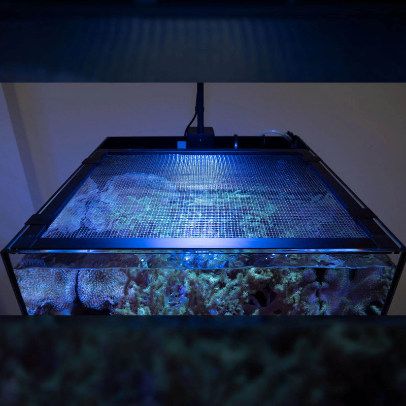 CUBE 15 Peninsula Mesh Lid - Waterbox - SaltwaterAquarium.com