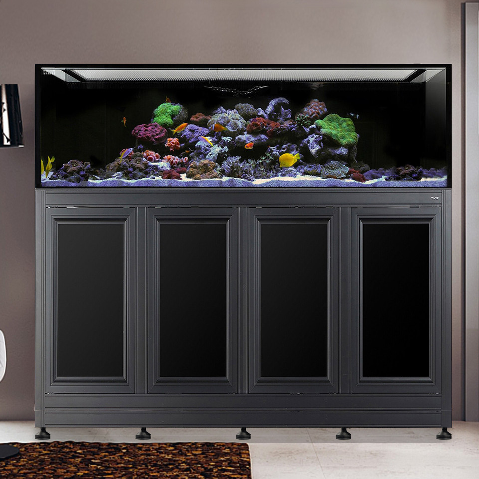 INT 240 Gallon Complete Reef System – Black (Made To Order ...