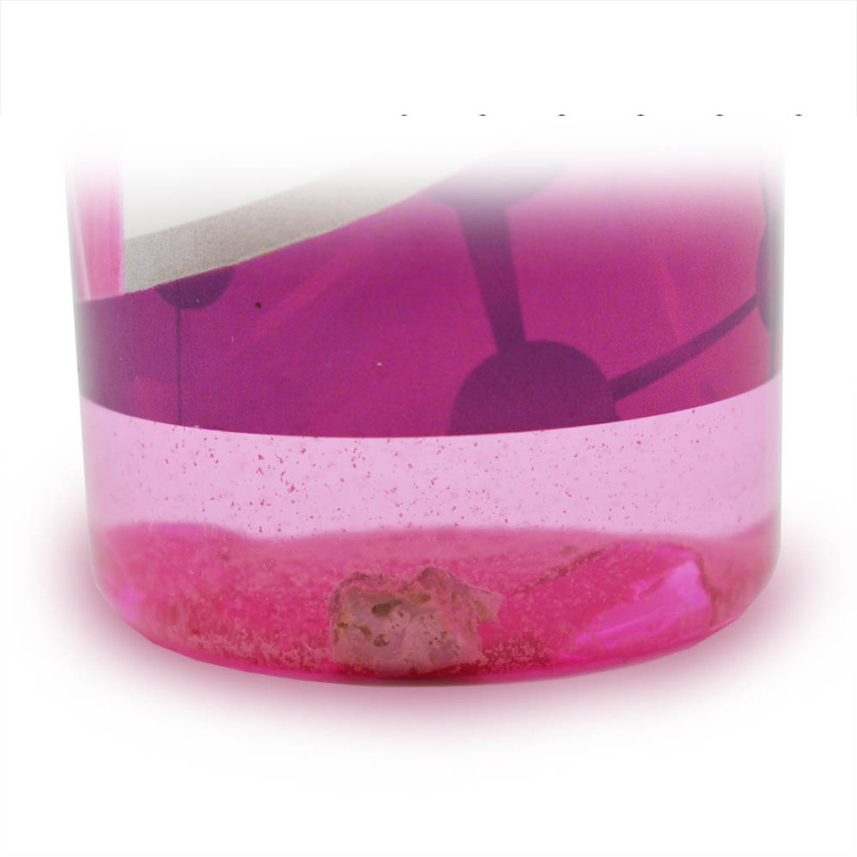 Pink Fusion - Pink Coralline Algae in a Bottle (8 oz) - ARCReef ...
