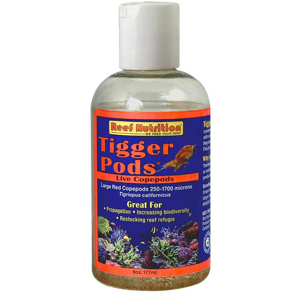 Live Fish, Corals, Inverts, Algae - Saltwater & Marine Reef Aquariums