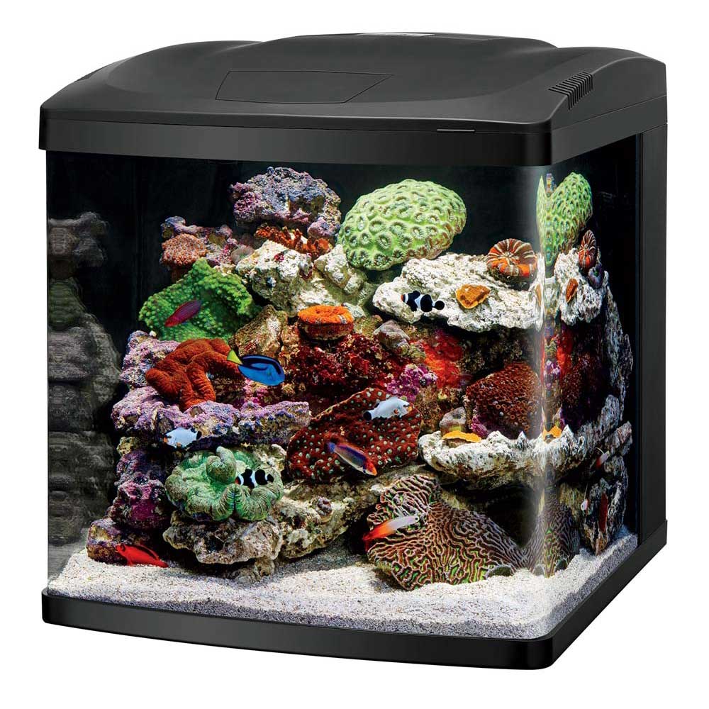 32 Gallon BioCube Aquarium w/LED (Tank Only) - Coralife ...