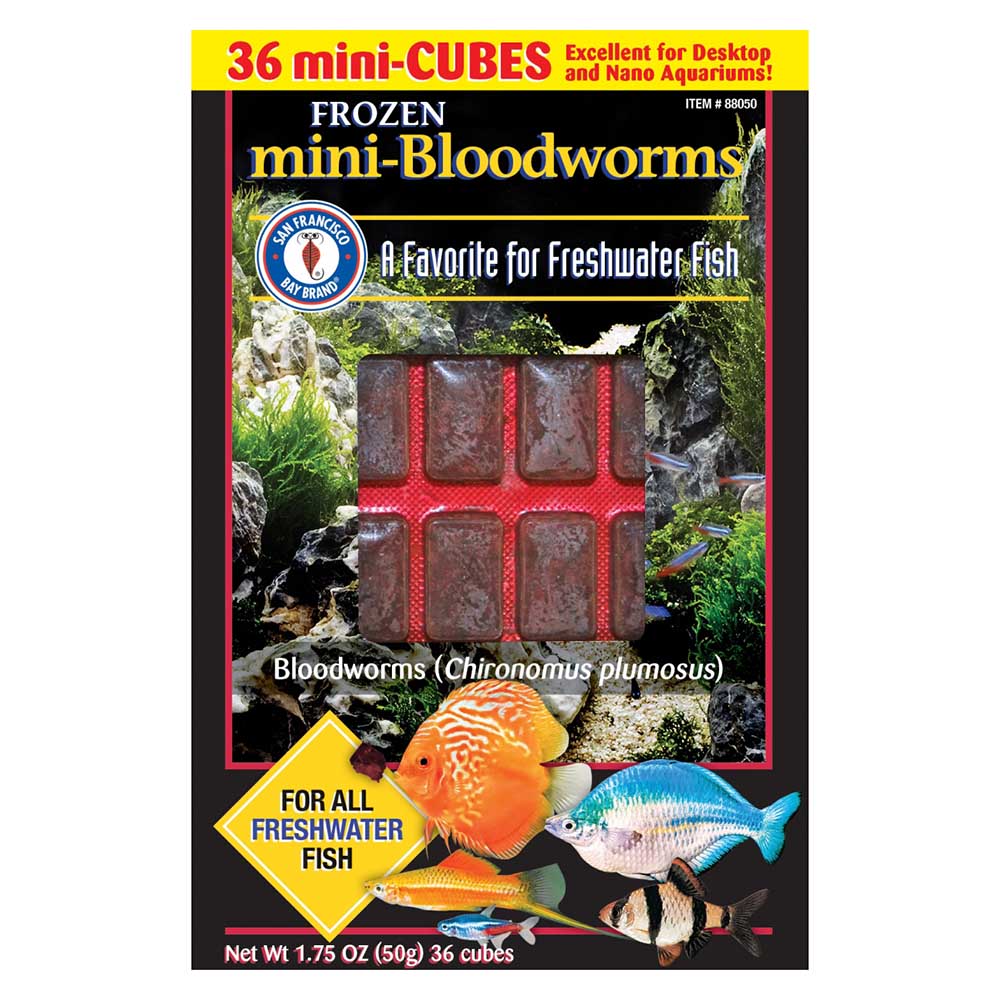 Frozen Mini-Bloodworms Fish Food (36 mini cubes, 1.75 oz) - San ...