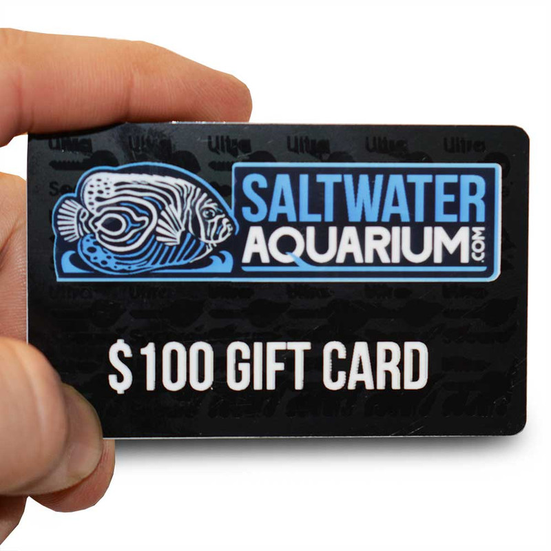 Finally, The Perfect Gift! - SaltwaterAquarium.com