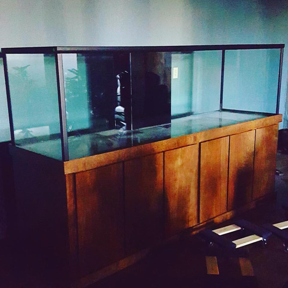 Deep Sea Aquatics - Tank Example Pictures