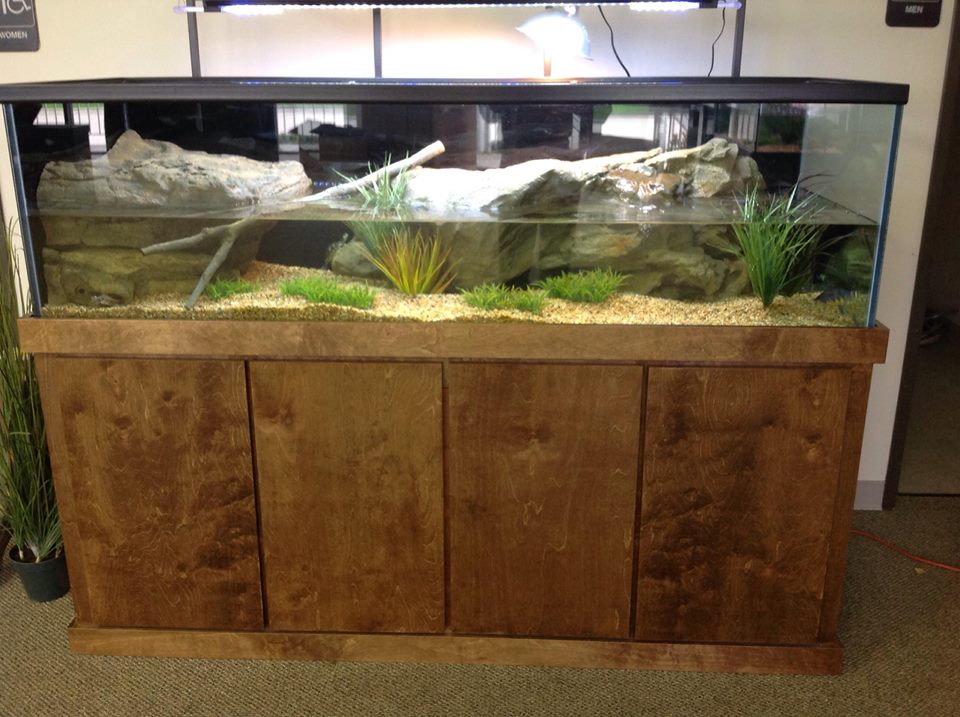 Deep Sea Aquatics - Tank Example Pictures