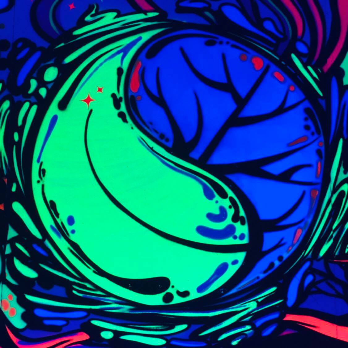 What is Aquashella? - SaltwaterAquarium.com