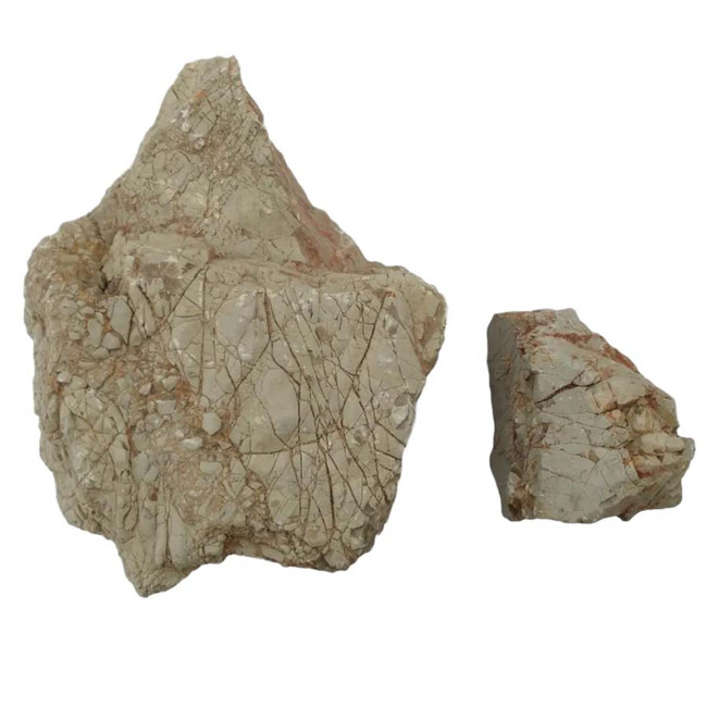 Elephant Stone (44 lbs) Freshwater Rock - IceCap - SaltwaterAquarium.com