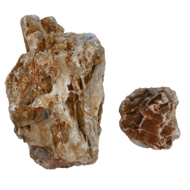 Chicken Bone Stone (44 lbs) Freshwater Rock - IceCap ...