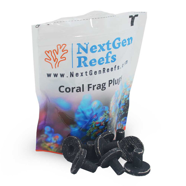NextGen Ceramic Coral Frag Plugs 1" HAWAIIAN BLACK (25 pc) - Oceans ...