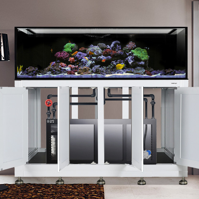 INT 240 Gallon Complete Reef System – White (Made To Order ...