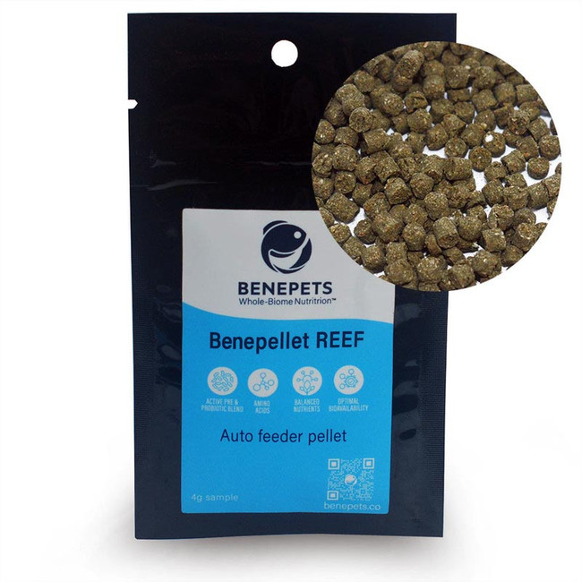 Benepellet Reef Pellet Coral Food Sample (4g) - Benepets ...