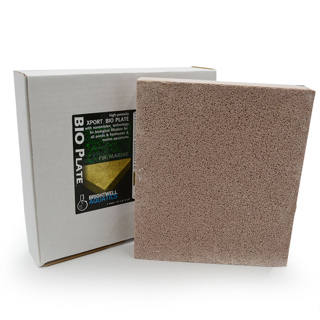 Xport BIO Plate - 9" x 8" x 1.50" - Brightwell Aquatics ...