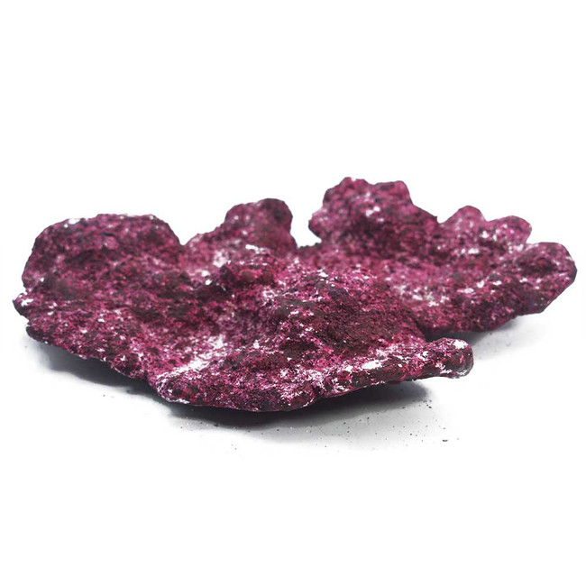 Real Reef Shelf Rock (40 lb) Box - Real Reef - SaltwaterAquarium.com