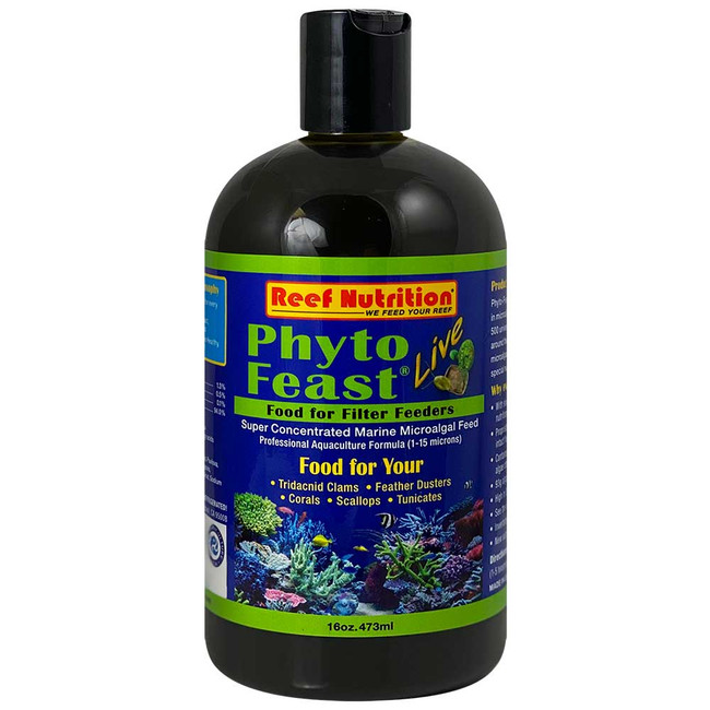 LIVE Phyto Feast Concentrate (16 oz) - Reef Nutrition ...