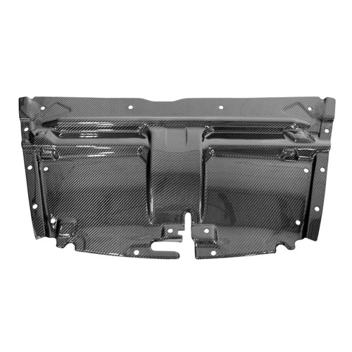 Carbon Fiber Slam Panel - Aston Martin - Fabspeed Motorsport