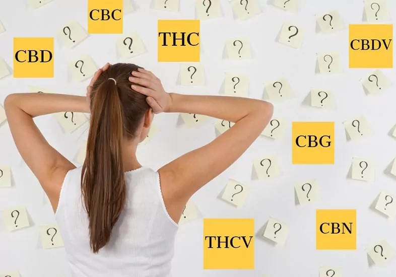 Rare Cannabinoid Company Launches World’s First Cannabinoid Quiz - Rare ...