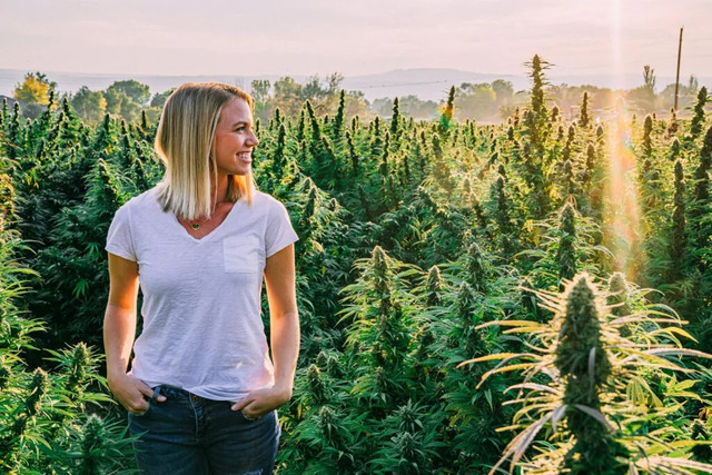 What is Mood Cannabis? - Rare Cannabinoid Company