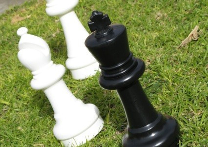 Giant Chess 30cm Garden / Outdoor Chess Set (GC321) | Chess World