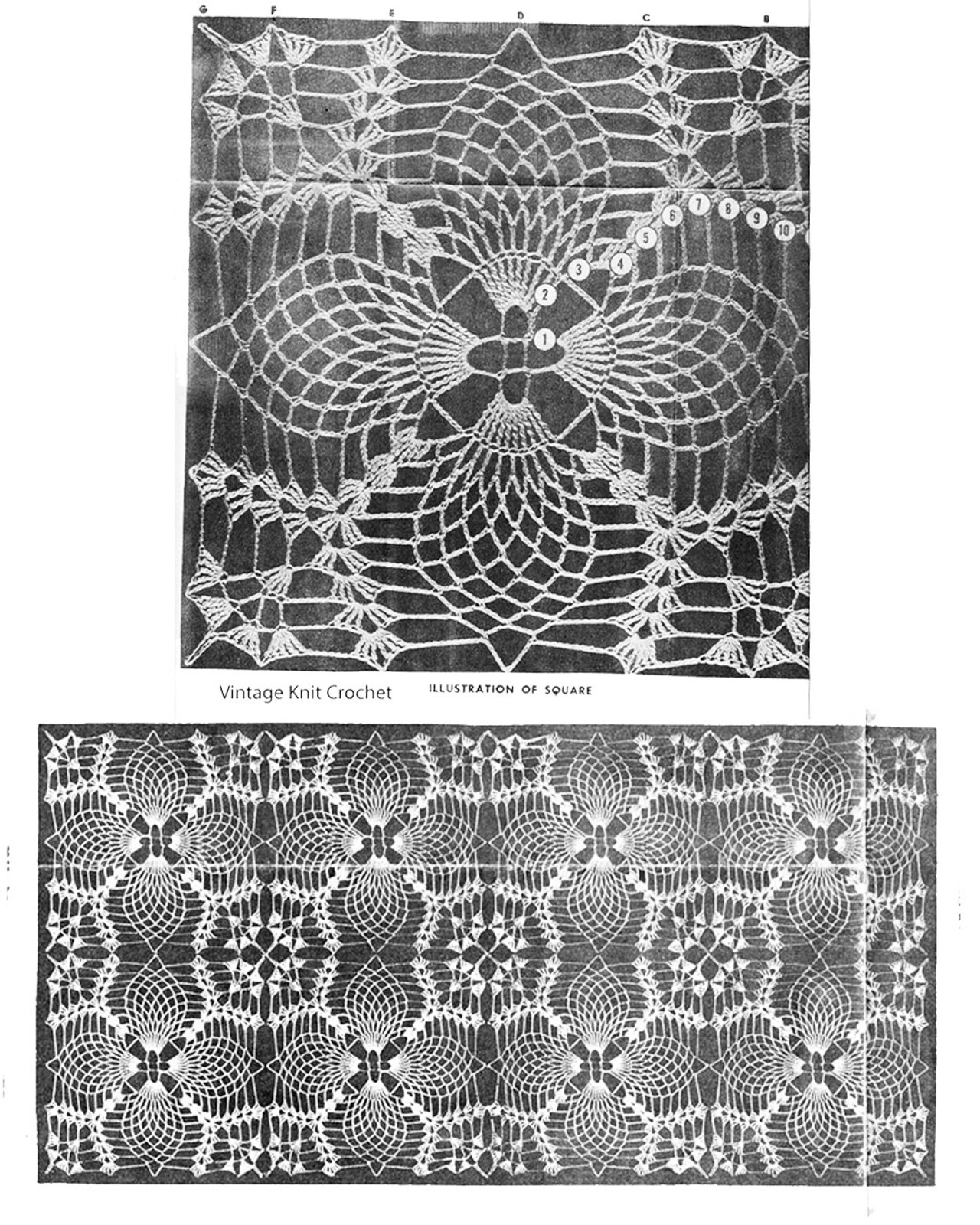 Crochet Round Pineapple Tablecloth Pattern Mail Order Design 7520