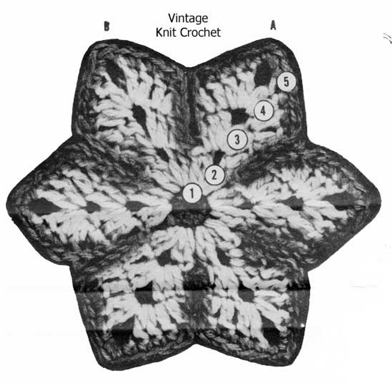 Crochet Flower Medallion Afghan Pattern Mail Order Design 7001
