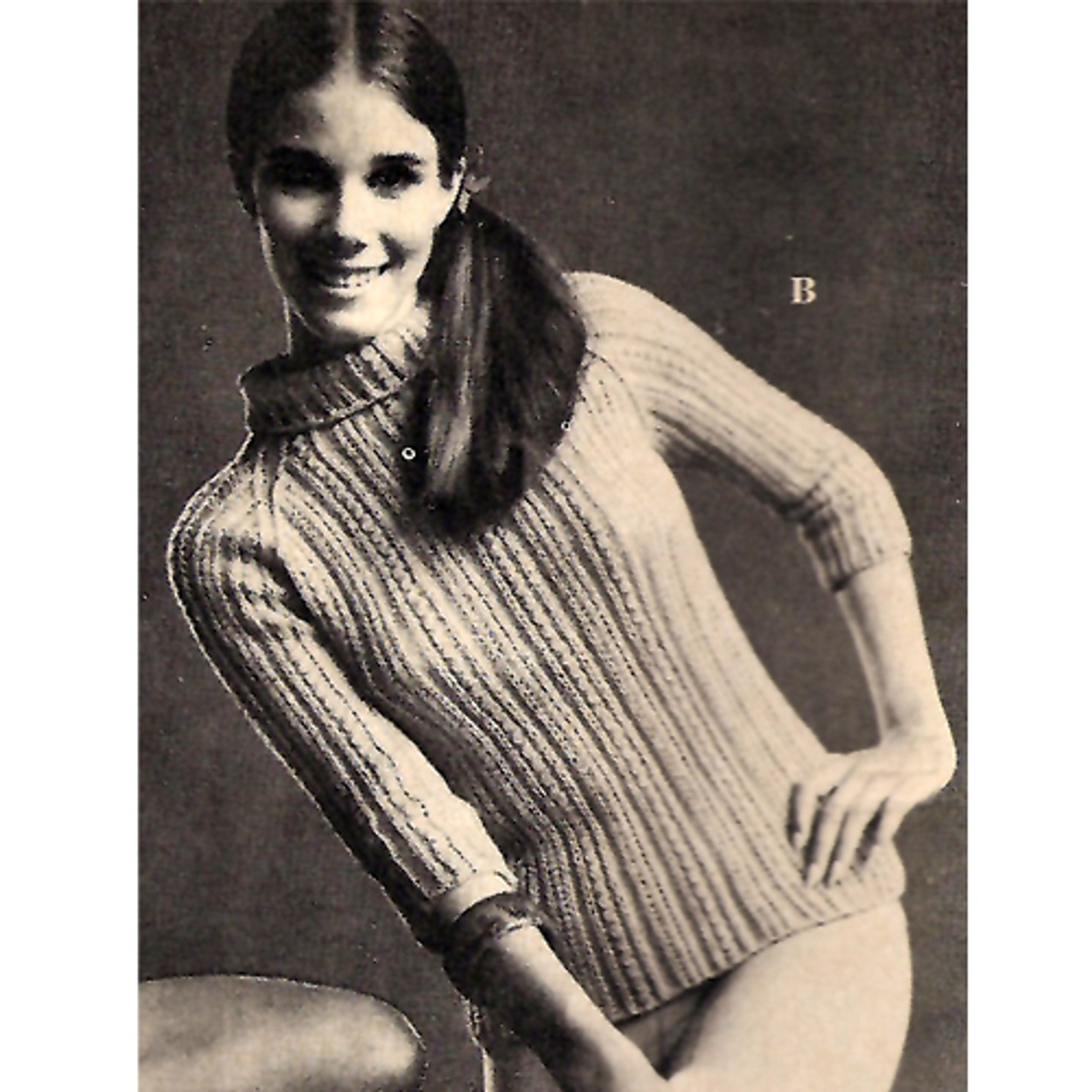 Raglan Turtleneck Sweater Knitting Pattern Small Medium