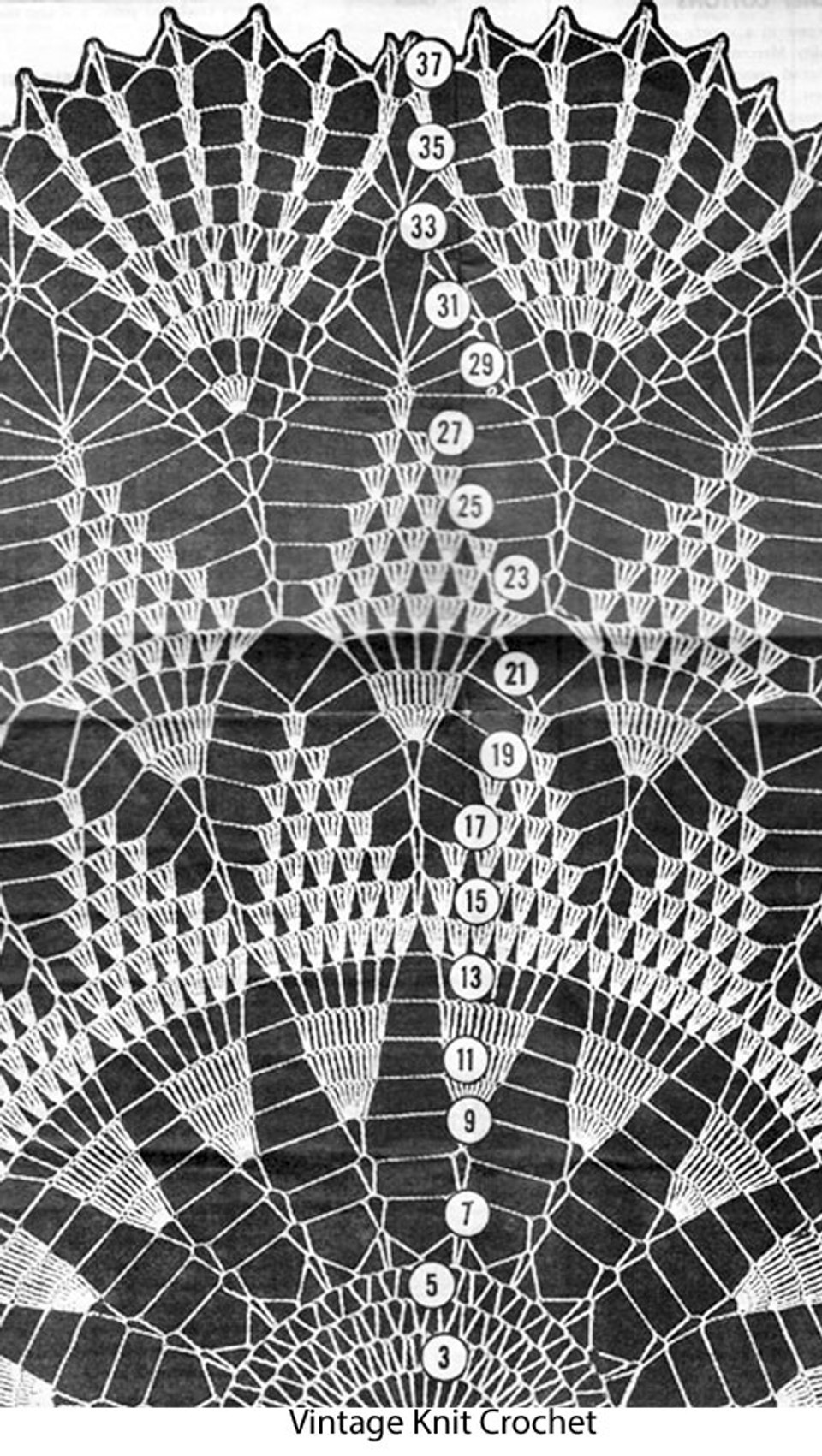 Laura Wheeler 642 Crochet Pineapple Cloth Pattern Centerpiece Doily
