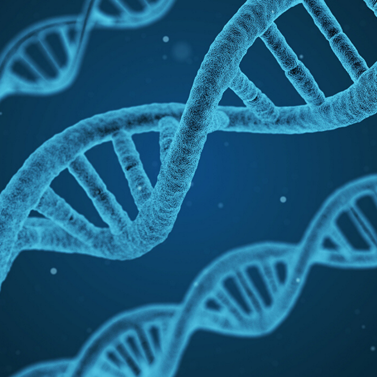 Bio 101 Biology Trivia Buy Biology Trivia bio-101-biology-trivia-buy-biology-trivia