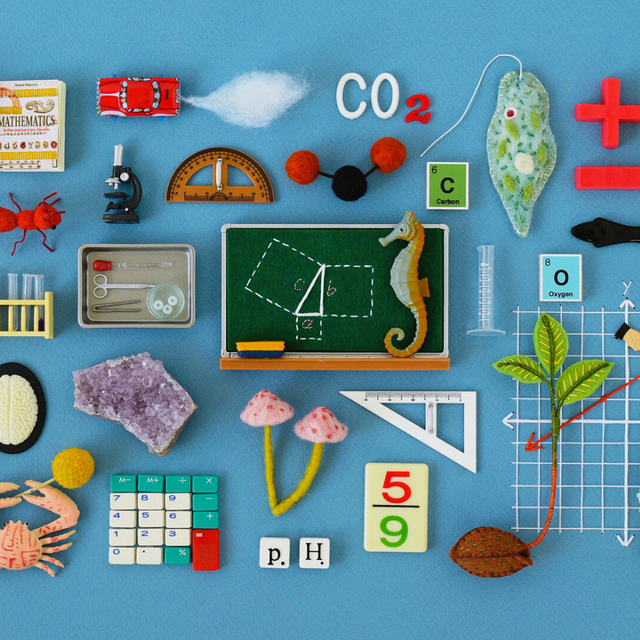 Math and Science Trivia Categories to Buy