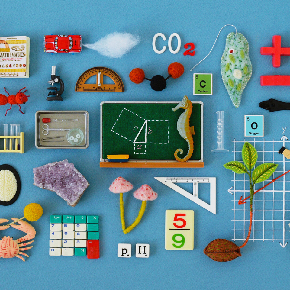 Math and Science Trivia Categories to Buy