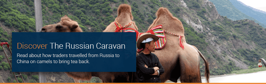 All aboard the Russian Caravan - Jenier World of Teas
