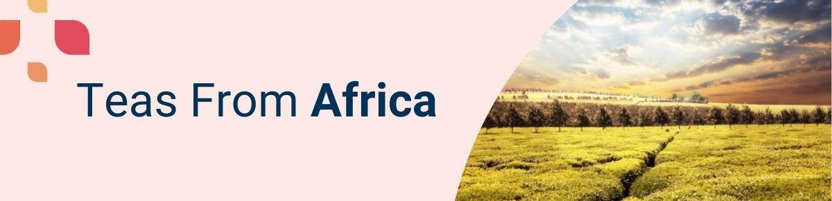 Wholesale African Teas | Teas From Africa | Jenier Wholesale