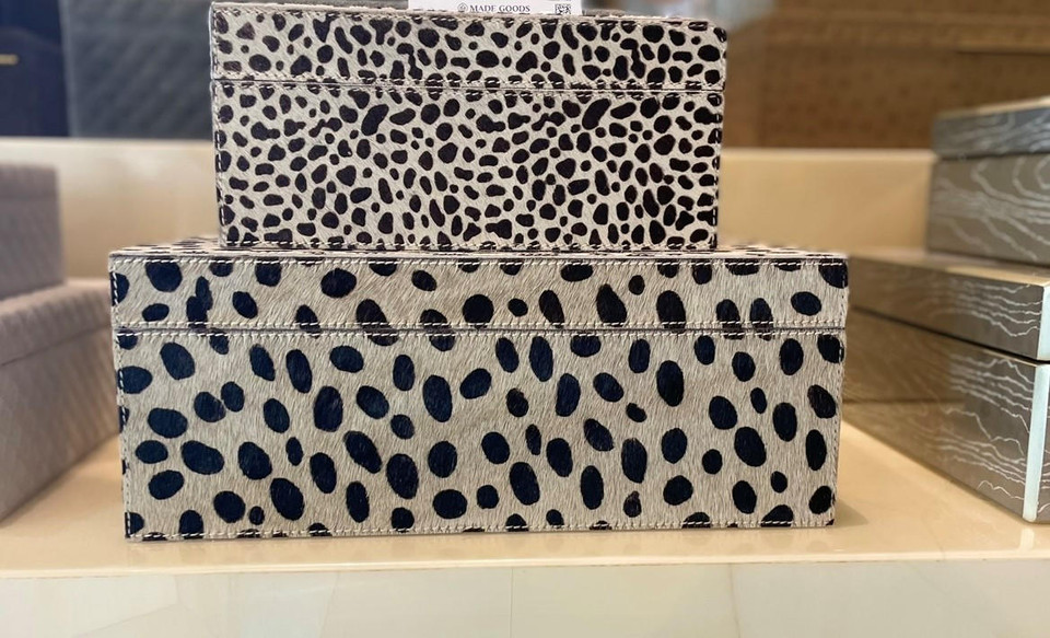 Bryce Cheetah Dalmatian Decorative Boxes Set of Two