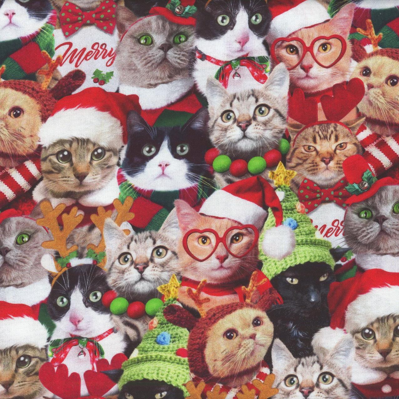 Timeless Treasures Fabrics Christmas Favorites Christmas Cat Collage ...