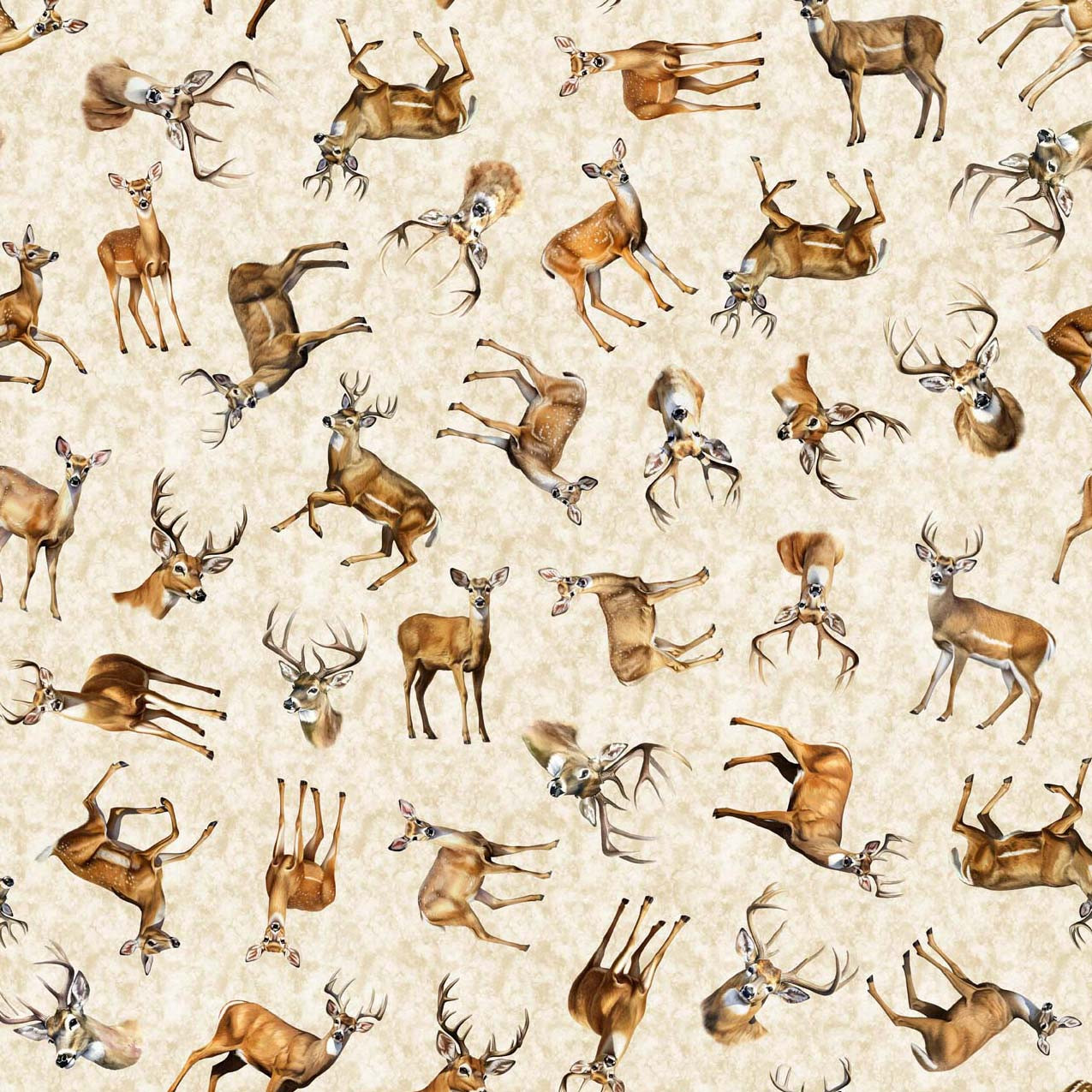Quilting Treasures Fabrics Buck Wild Dan Morris Cream Tossed Deer ...