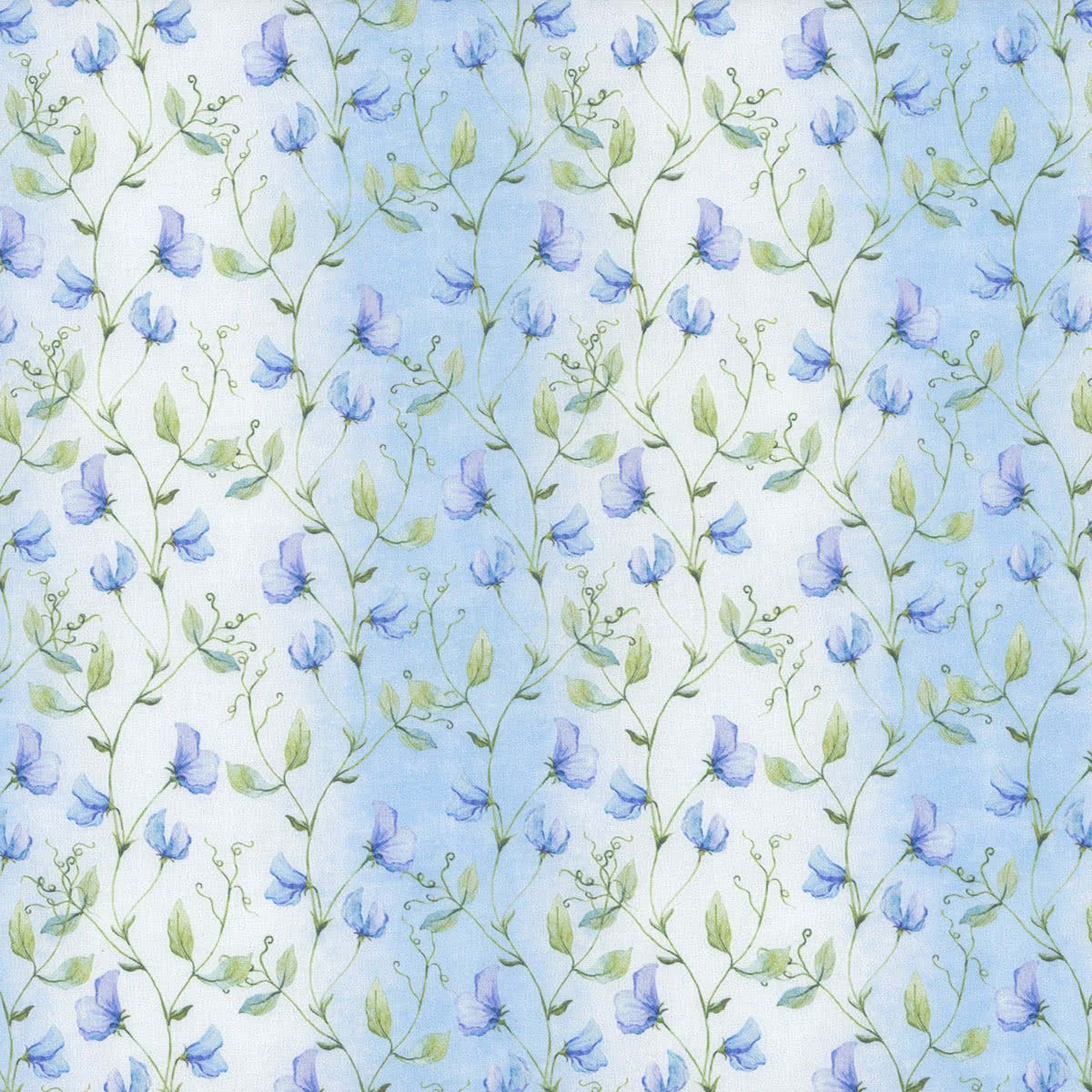 In The Beginning Fabrics Periwinkle Spring Sweet Pea Vine Ombre White ...