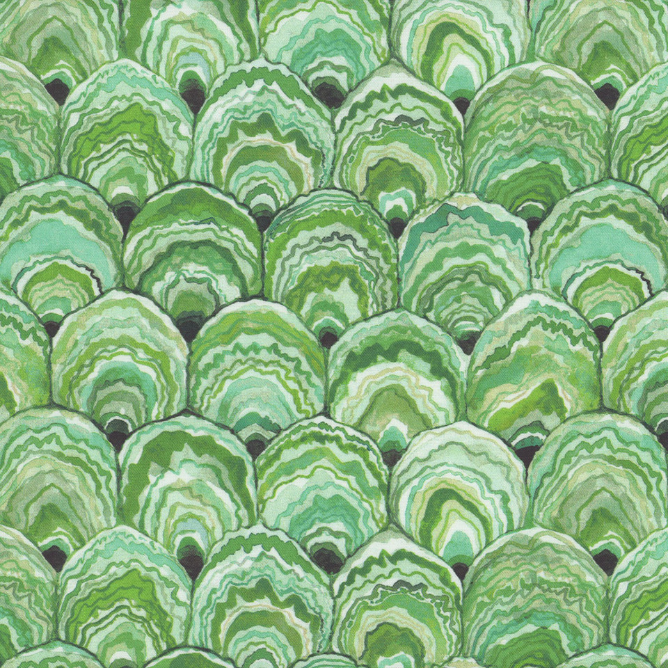 Windham Fabrics Wild Wander Betsy Olmsted Rainforest Clamshell Fungi ...