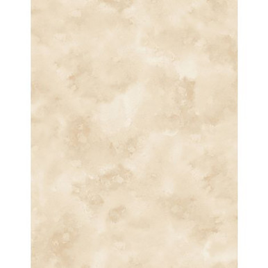 Wilmington Prints Fabrics Haze Essential 108 Quilt Backing Tan Cream ...