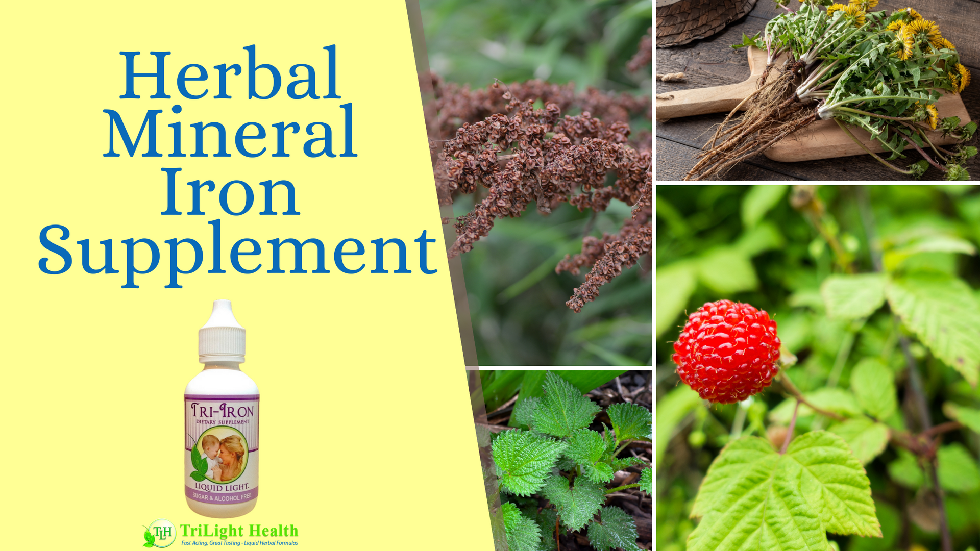Herbal Mineral Iron Supplement - TriLight Health