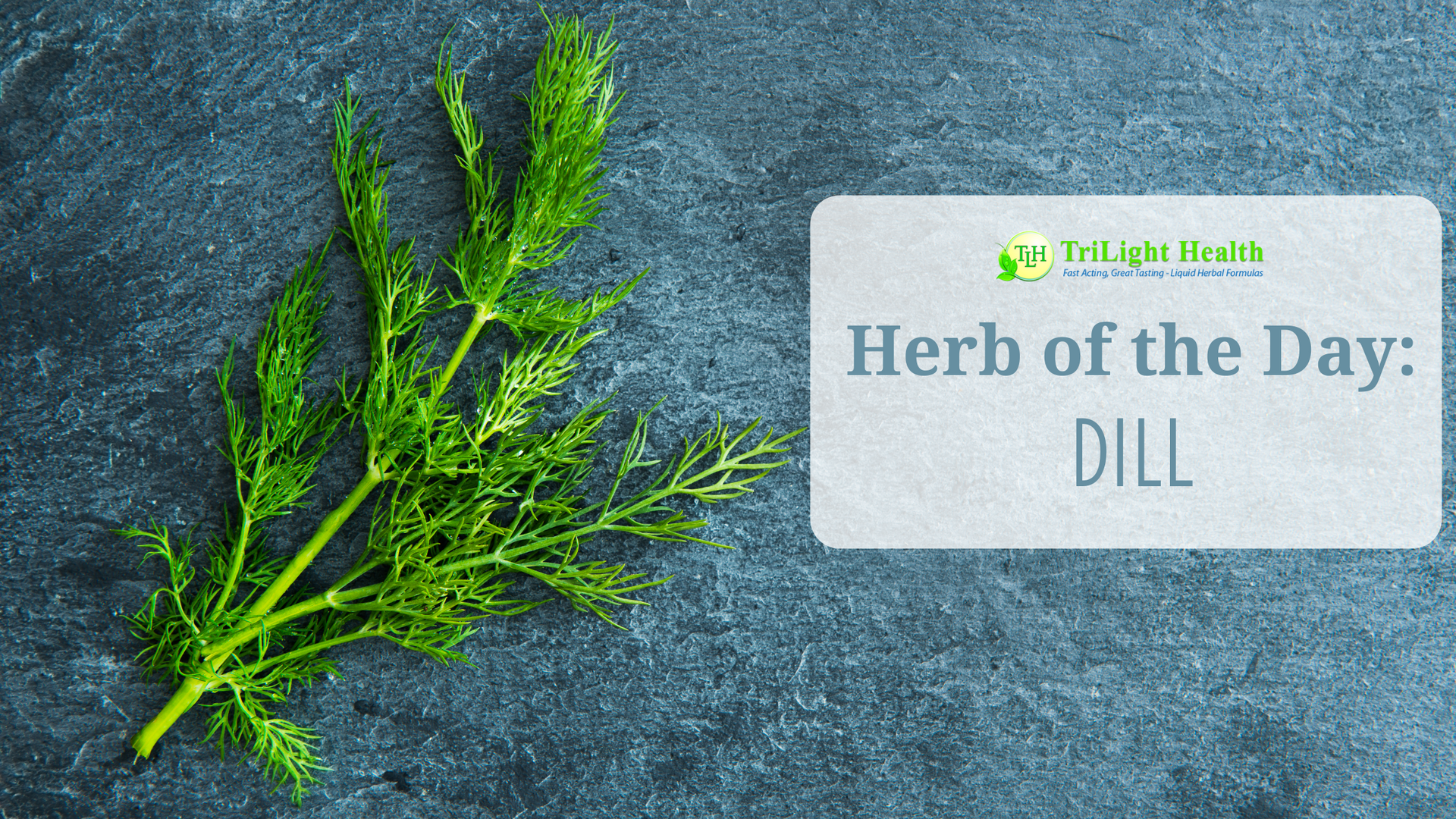 Herb of the Day: Dill - TriLight Health