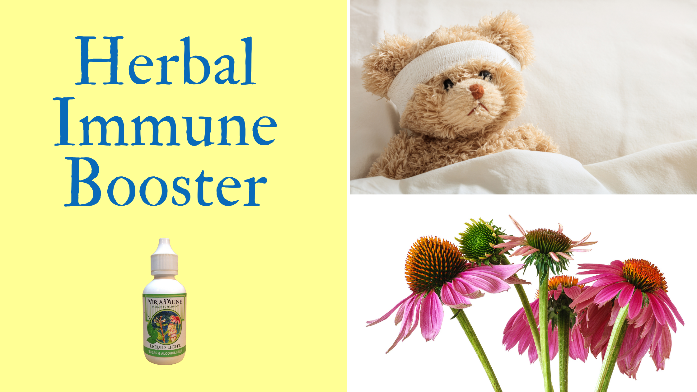 Herbal Immune Booster - TriLight Health