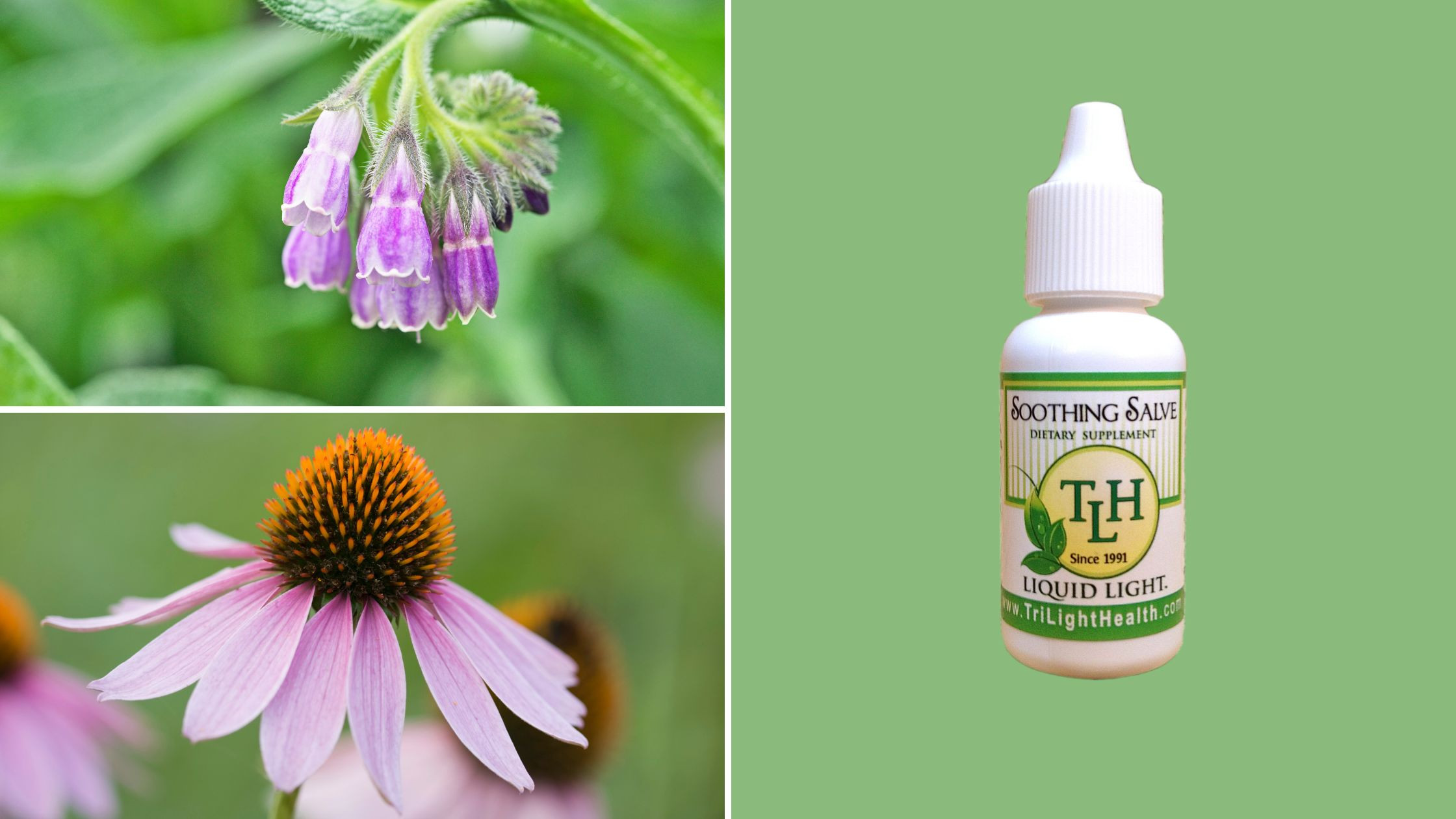 Fast Facts About Soothing Salve - TriLight Health