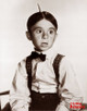 Herb of the day ... Alfalfa - TriLight Health