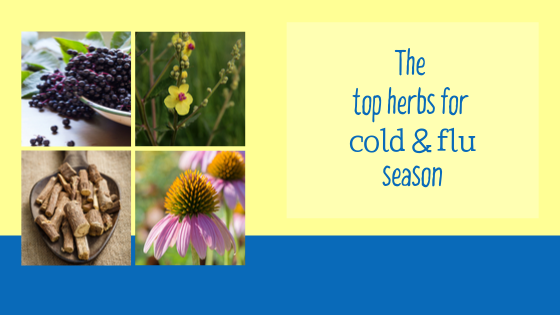 The Top Herbs for Cold & Flu Season - TriLight Health